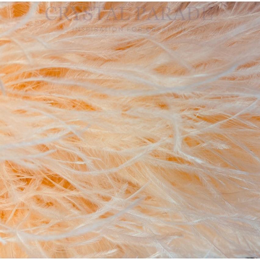 Ostrich Feather Boa 5ply | Dancewear Trimmings & Rhinestones